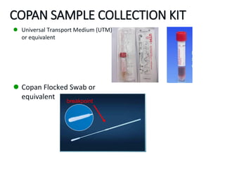 oropharnegeal specimen-collection-slides | PDF
