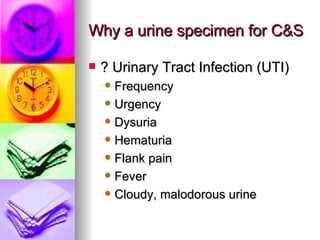 Specimen Collection[1] | PPT | Medical Tests | Medical Health