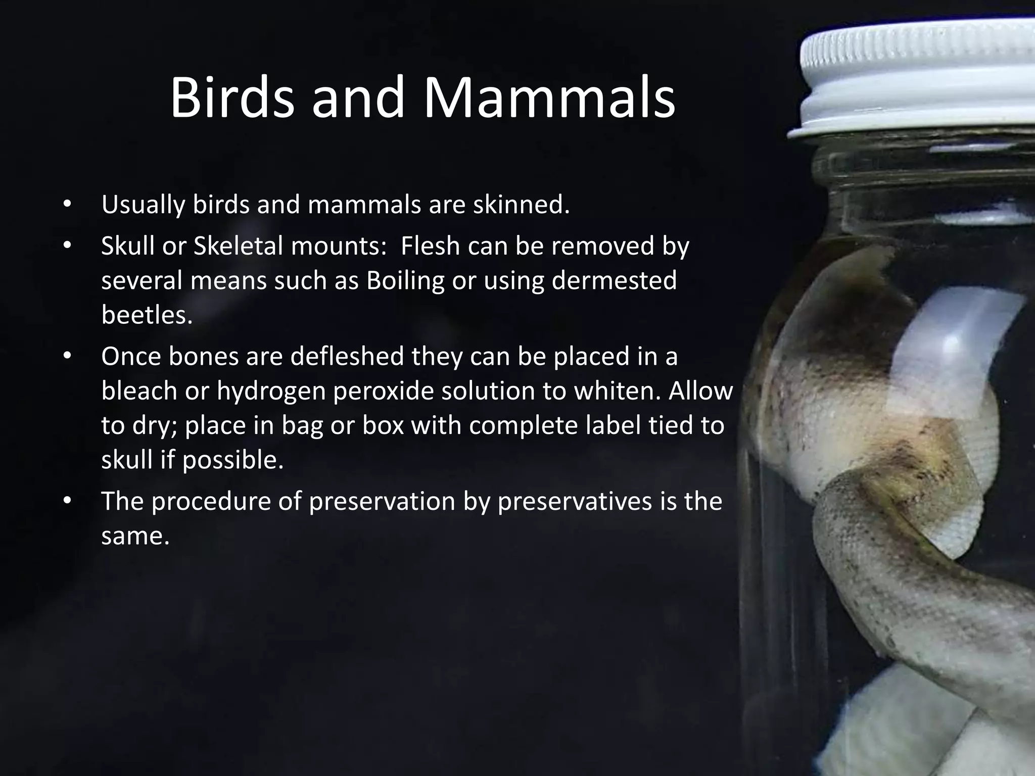 Specimen and its preservation | PPTX