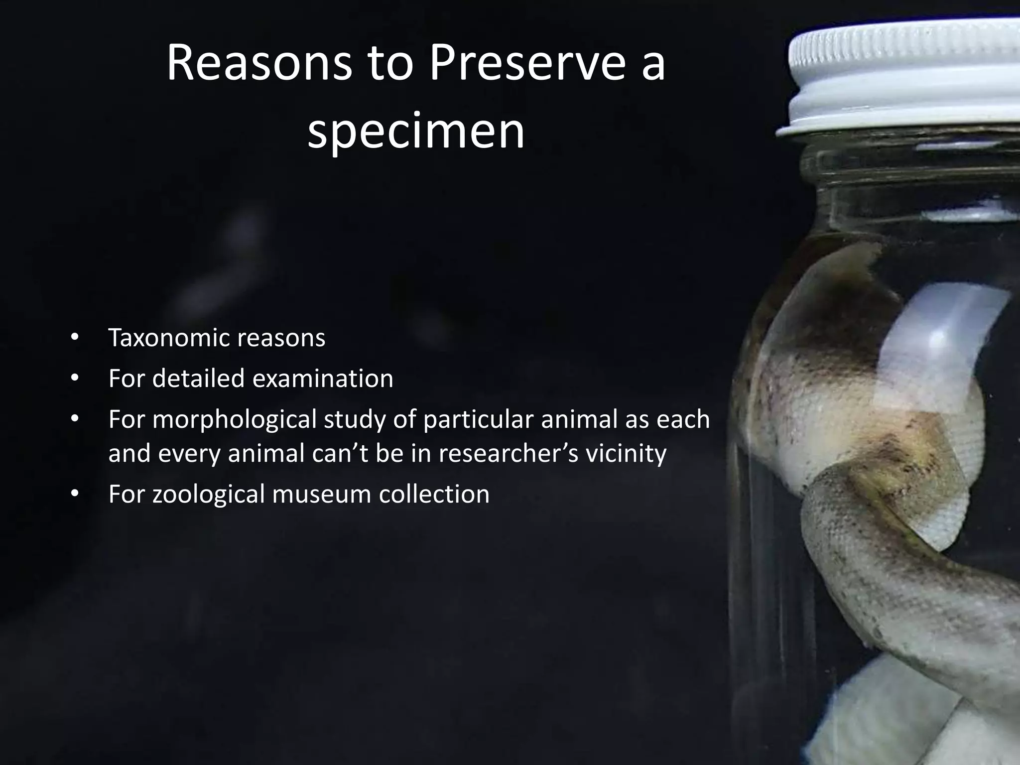 Specimen and its preservation | PPTX