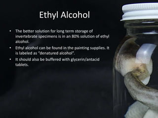 Specimen and its preservation | PPTX