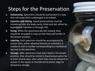 Specimen and its preservation | PPTX