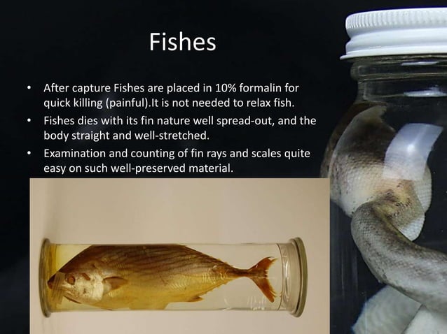 Specimen and its preservation | PPTX | Alcoholic Beverages | Food & Drink