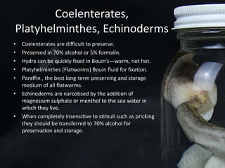 Specimen and its preservation | PPTX | Alcoholic Beverages | Food & Drink