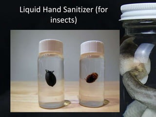 Specimen and its preservation | PPTX