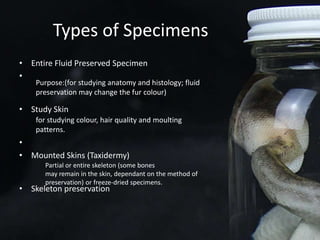 Specimen and its preservation | PPTX
