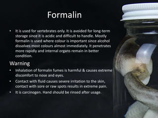 Specimen and its preservation | PPTX