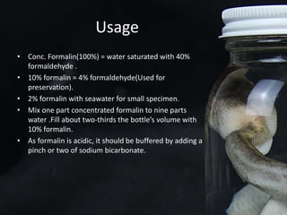 Specimen and its preservation | PPTX