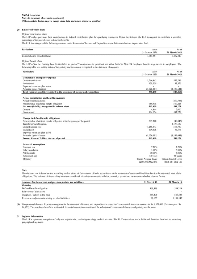 Latest Format for Audit Report and Financials for LLP | CA Sana Baqai | PDF