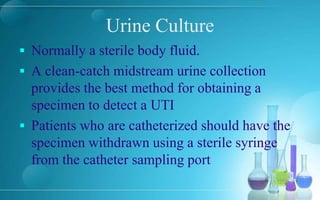 Specimen collection | PPTX