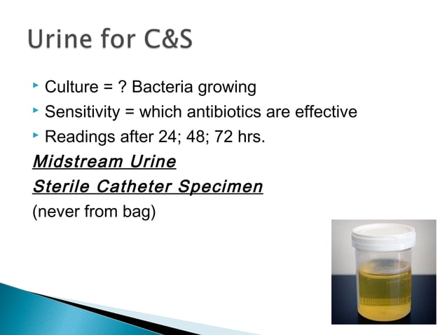 Specimen collection | PPT