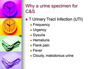 Specimen_Collection.ppt