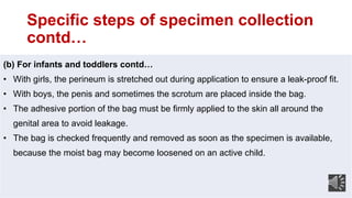 Specimen collection procedure........... | PPTX