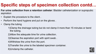 Specimen collection procedure........... | PPT