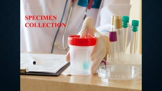 specimen collection in clinical laboratory | PPTX