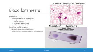 Specimen collection dr manar-nursing | PDF