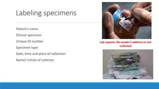 Specimen collection dr manar-nursing | PDF