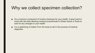 specimen collection -throat swab (1).pptx