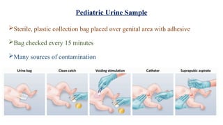 URINE SPECIMEN COLLECTION AND HANDLING CLASS 1 FOR ALL PARAMEDICAL OR ...