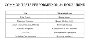 URINE SPECIMEN COLLECTION AND HANDLING CLASS 1 FOR ALL PARAMEDICAL OR ...