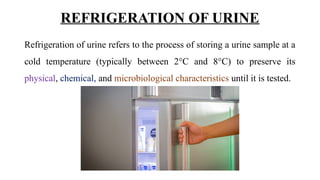 URINE SPECIMEN COLLECTION AND HANDLING CLASS 1 FOR ALL PARAMEDICAL OR ...