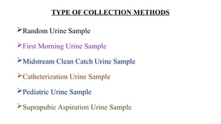 URINE SPECIMEN COLLECTION AND HANDLING CLASS 1 FOR ALL PARAMEDICAL OR ...