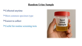 URINE SPECIMEN COLLECTION AND HANDLING CLASS 1 FOR ALL PARAMEDICAL OR ...