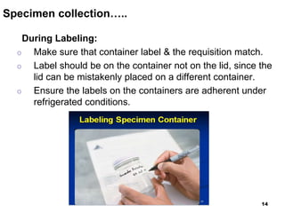 Specimen collection and transportation.ppt | Infectious Diseases ...