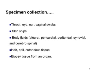 Specimen collection and transportation.ppt