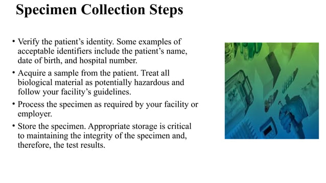 SPECIMEN COLLECTION by samina Roohi.pptx