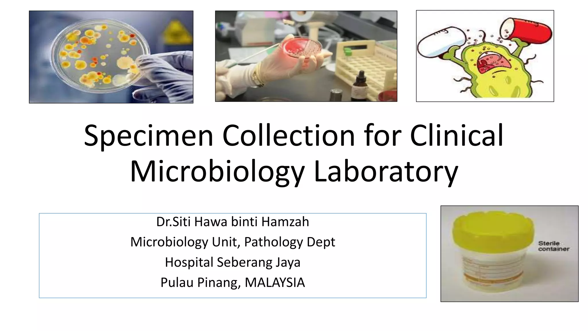 Specimen collection for clinical microbiology laboratory | PPTX