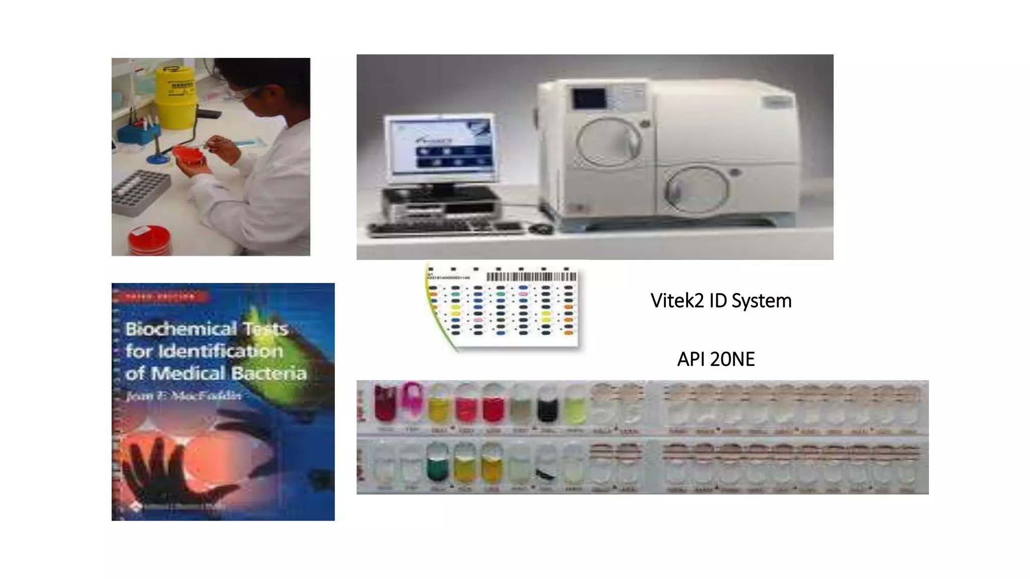 Specimen collection for clinical microbiology laboratory | PPTX