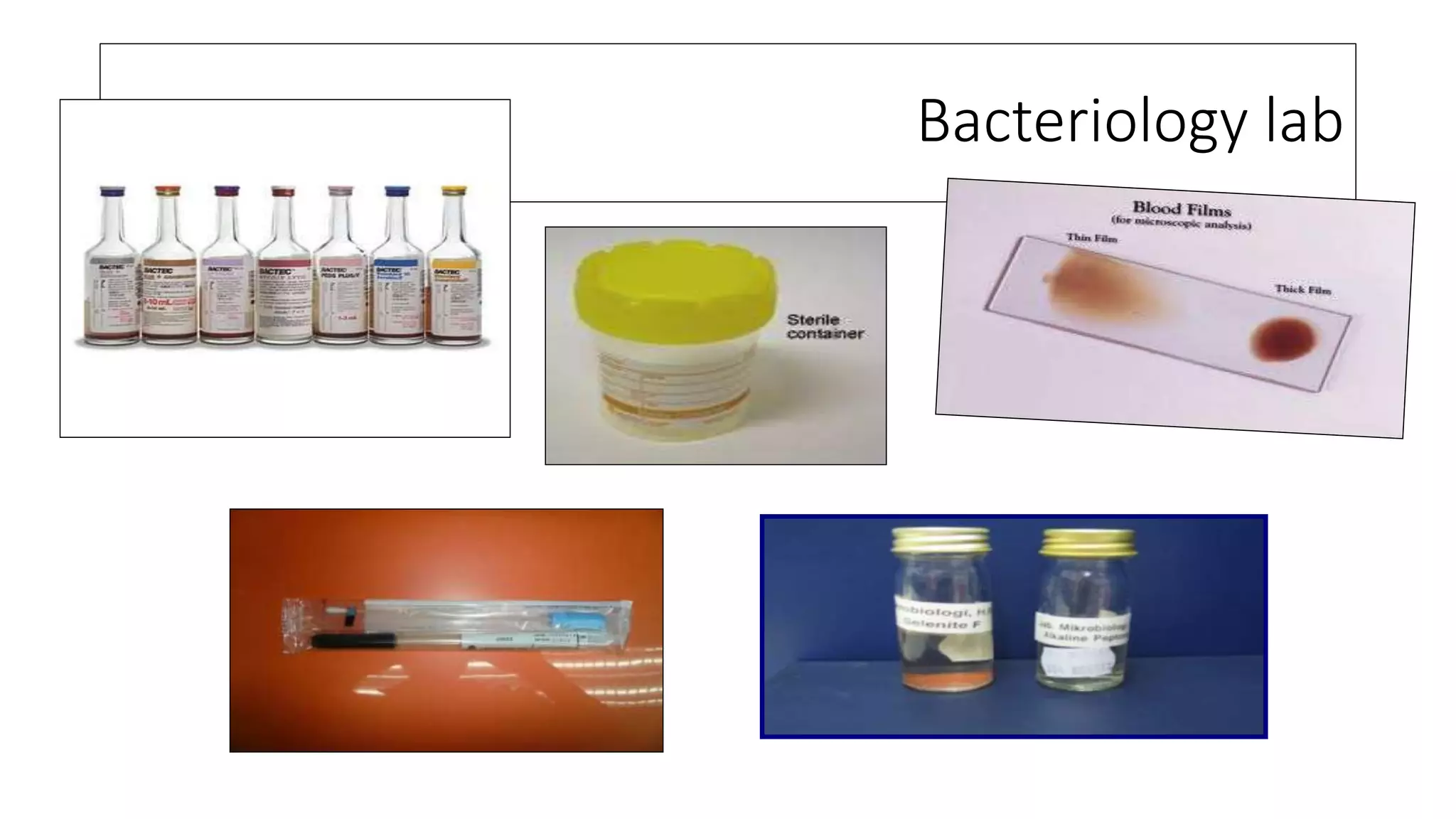 Specimen collection for clinical microbiology laboratory | PPTX