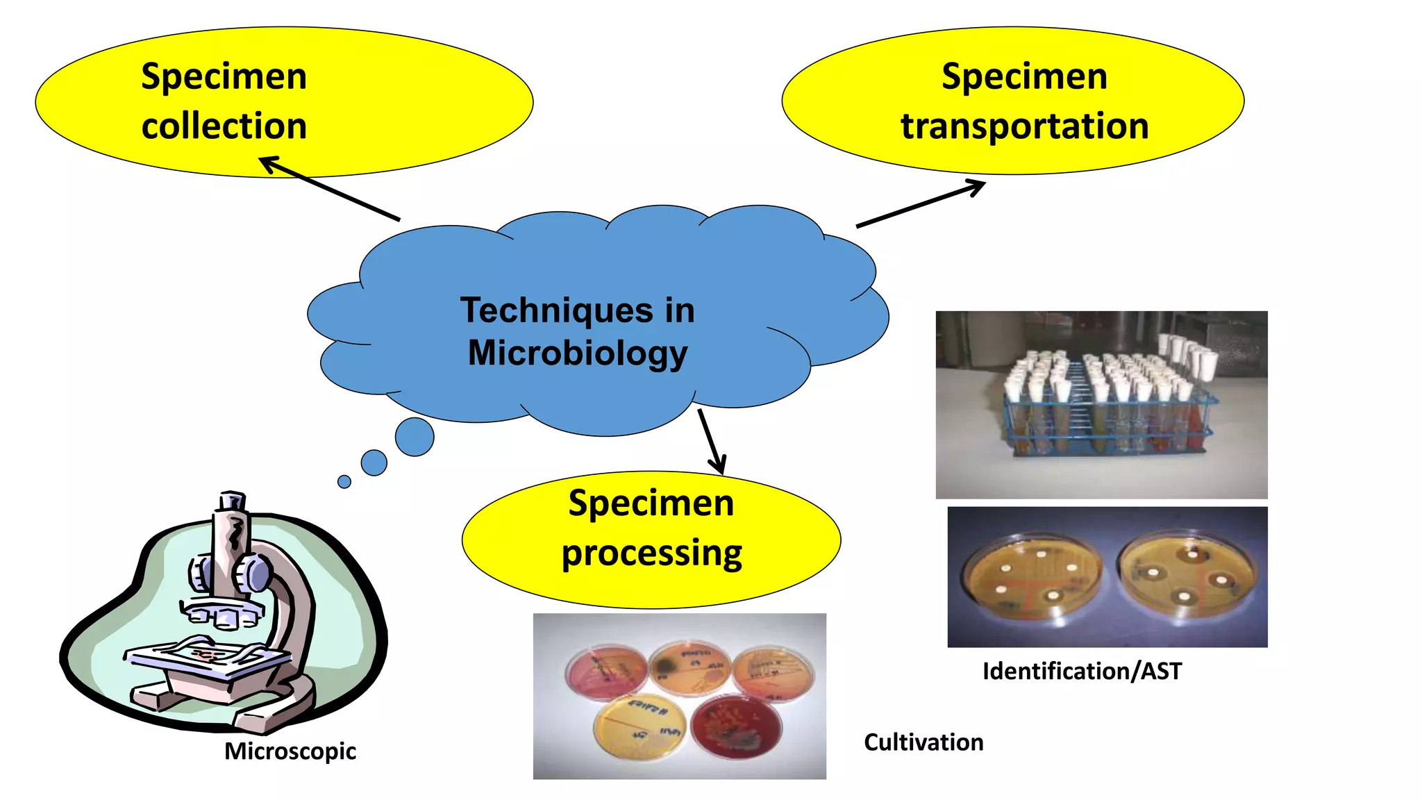 Specimen collection for clinical microbiology laboratory | PPTX