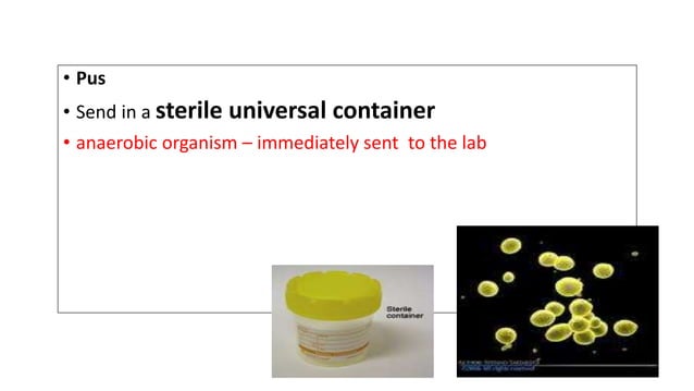 Specimen collection for clinical microbiology laboratory | PPTX