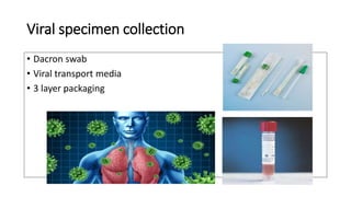 Specimen collection for clinical microbiology laboratory | PPTX