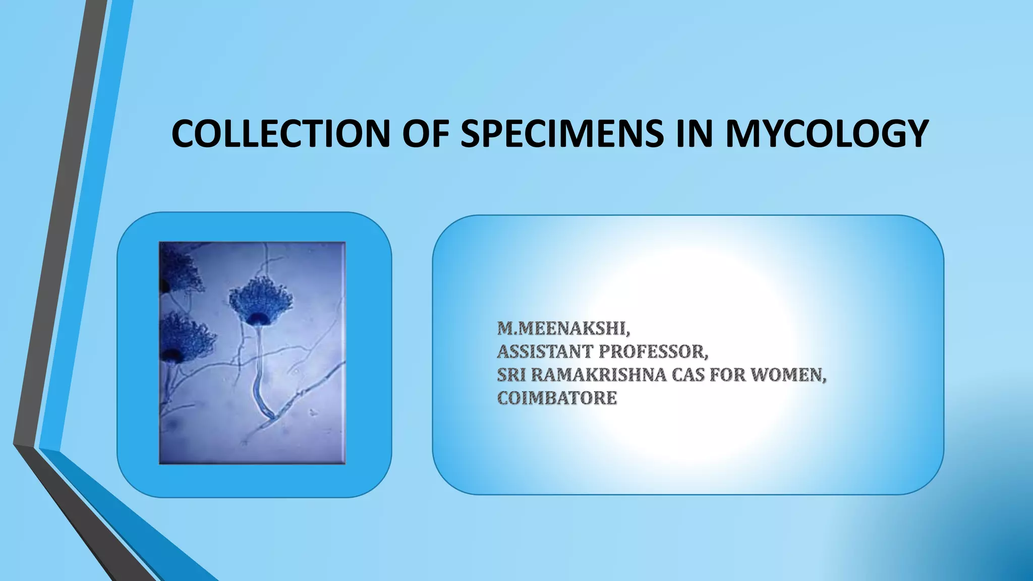 Specimen collection in mycology | PPTX