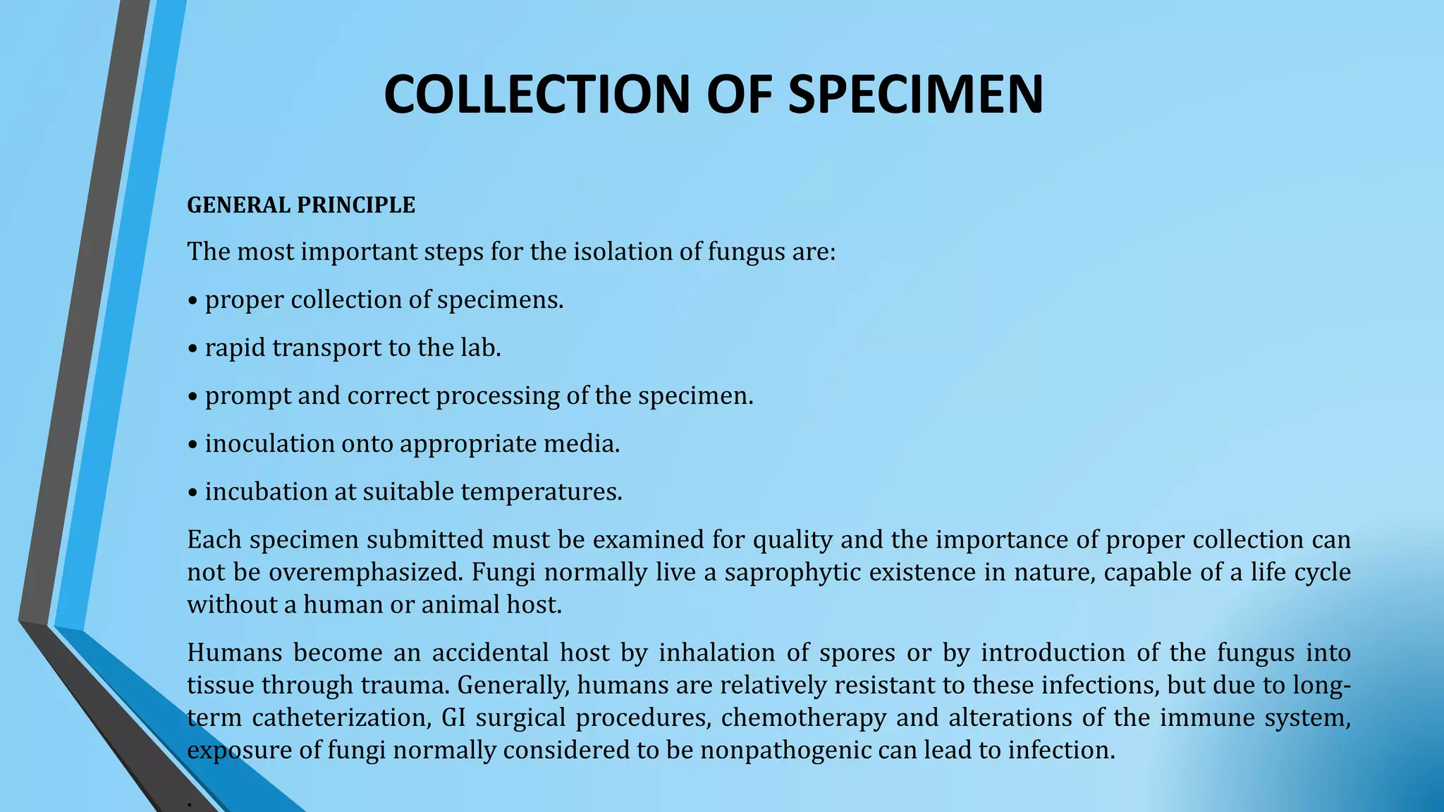 Specimen collection in mycology | PPTX