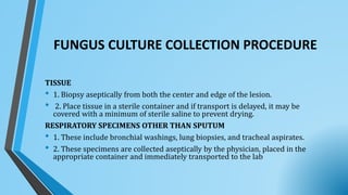 Specimen collection in mycology | PPTX
