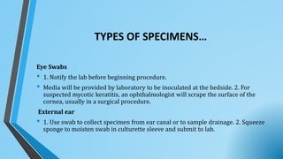 Specimen collection in mycology | PPTX