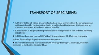 Specimen collection in mycology | PPTX