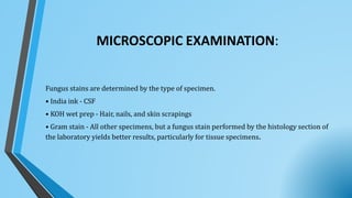 Specimen collection in mycology | PPTX
