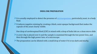 Specimen collection in mycology | PPTX