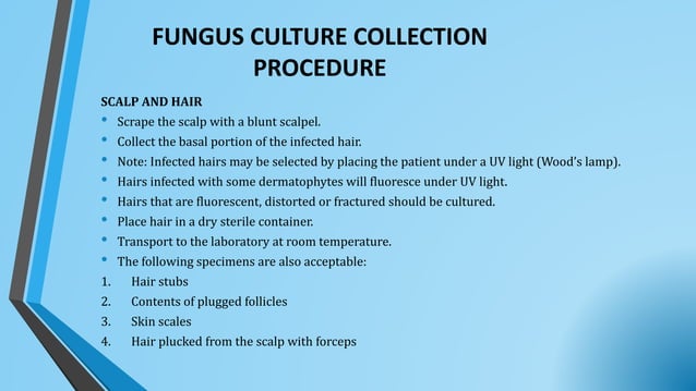 Specimen collection in mycology | PPTX | Skin and Dermatology | Diseases and Conditions