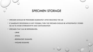 Specimen collection, transport, storage and analysis-1.pptx