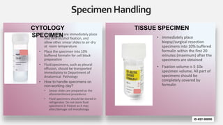 Specimen Handling IOMC.pptx