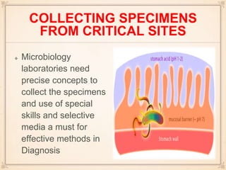 SPECIMEN MANAGEMENT.pptx