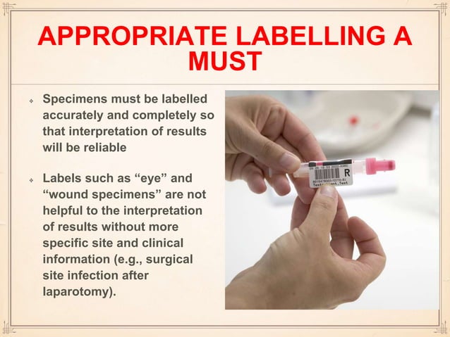 SPECIMEN MANAGEMENT.pptx