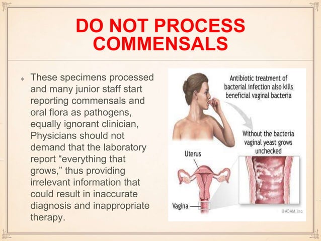 SPECIMEN MANAGEMENT.pptx