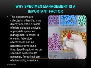 SPECIMEN MANAGEMENT.pptx